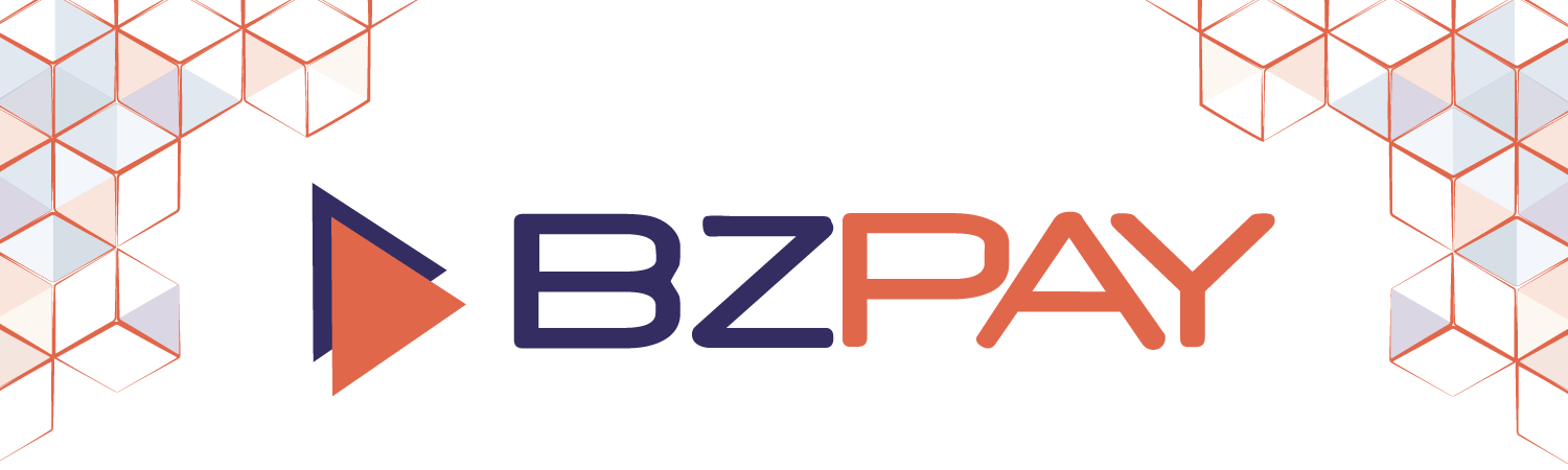BZLINK 𝄀 Enlace de Pago